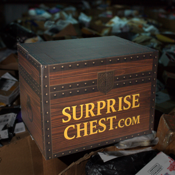 Surprise Chest- featuring lost mail, undeliverable packages – SurpriseChest
